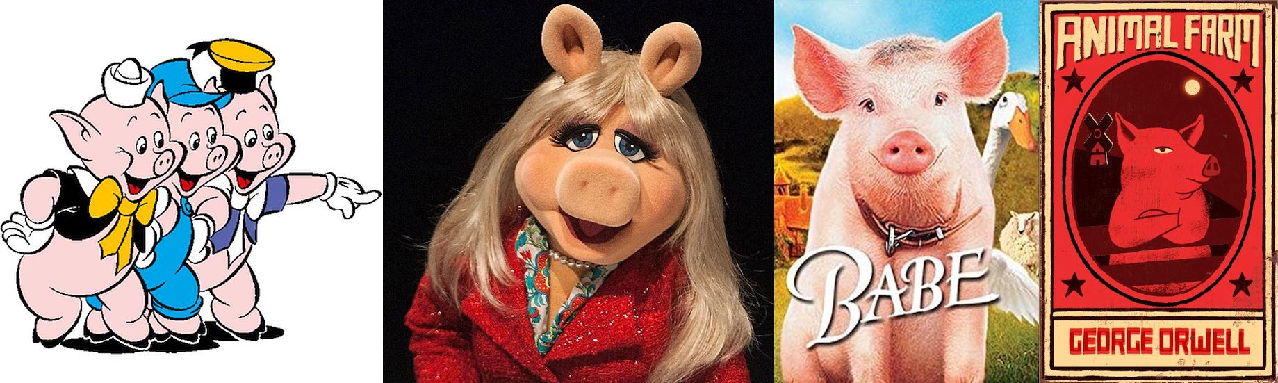 Het Jaar van het Varken | Achter de sansevieria's